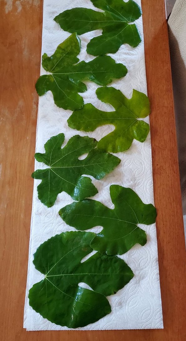 Leaves in Cheesemaking | Into The Curdverse